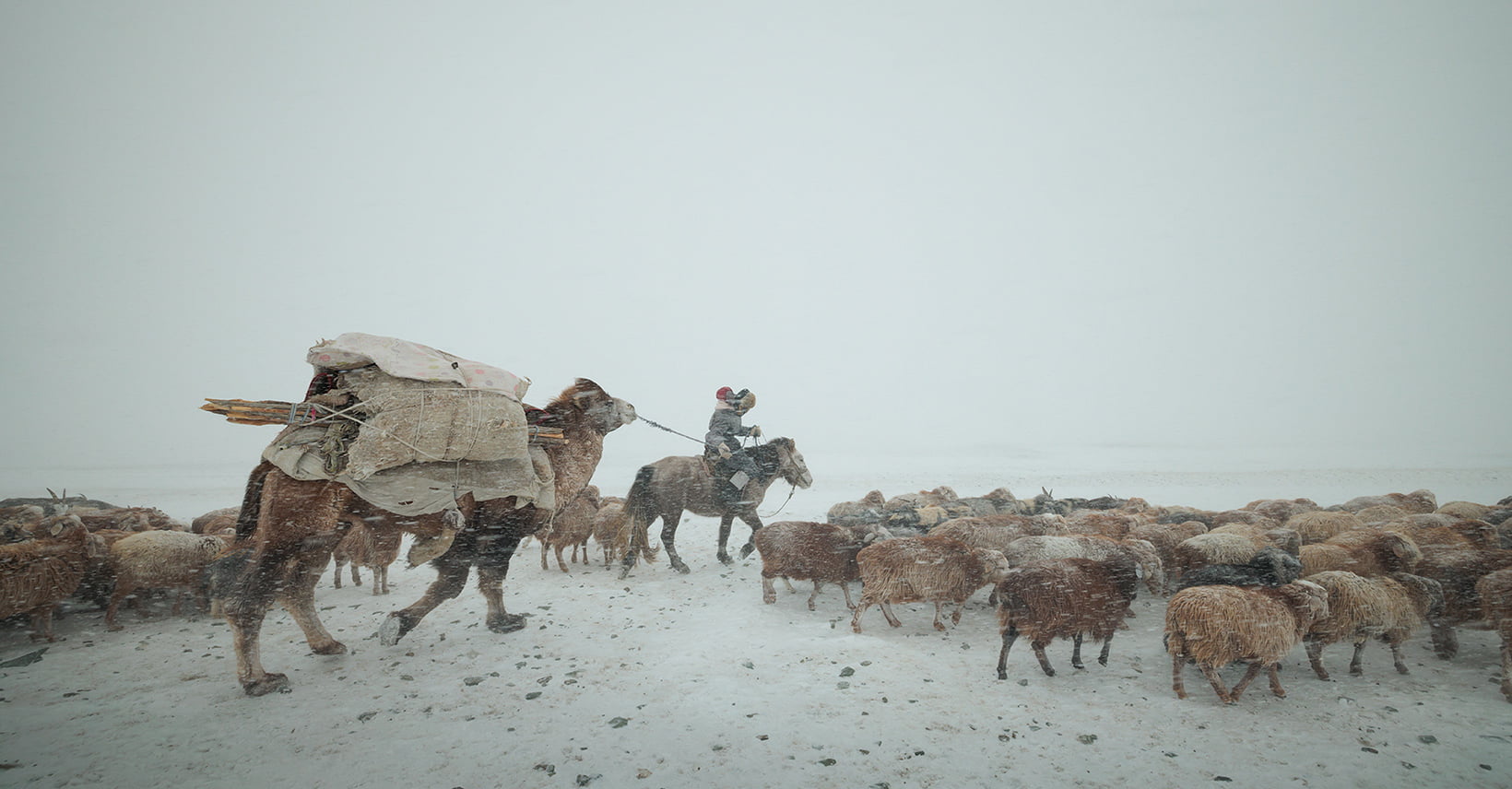 The Migration of the Eagle Hunters | Exposure